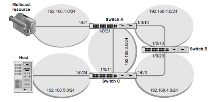What is the Distance Vector Multicast Routing Protocol (DVMRP) and how ...